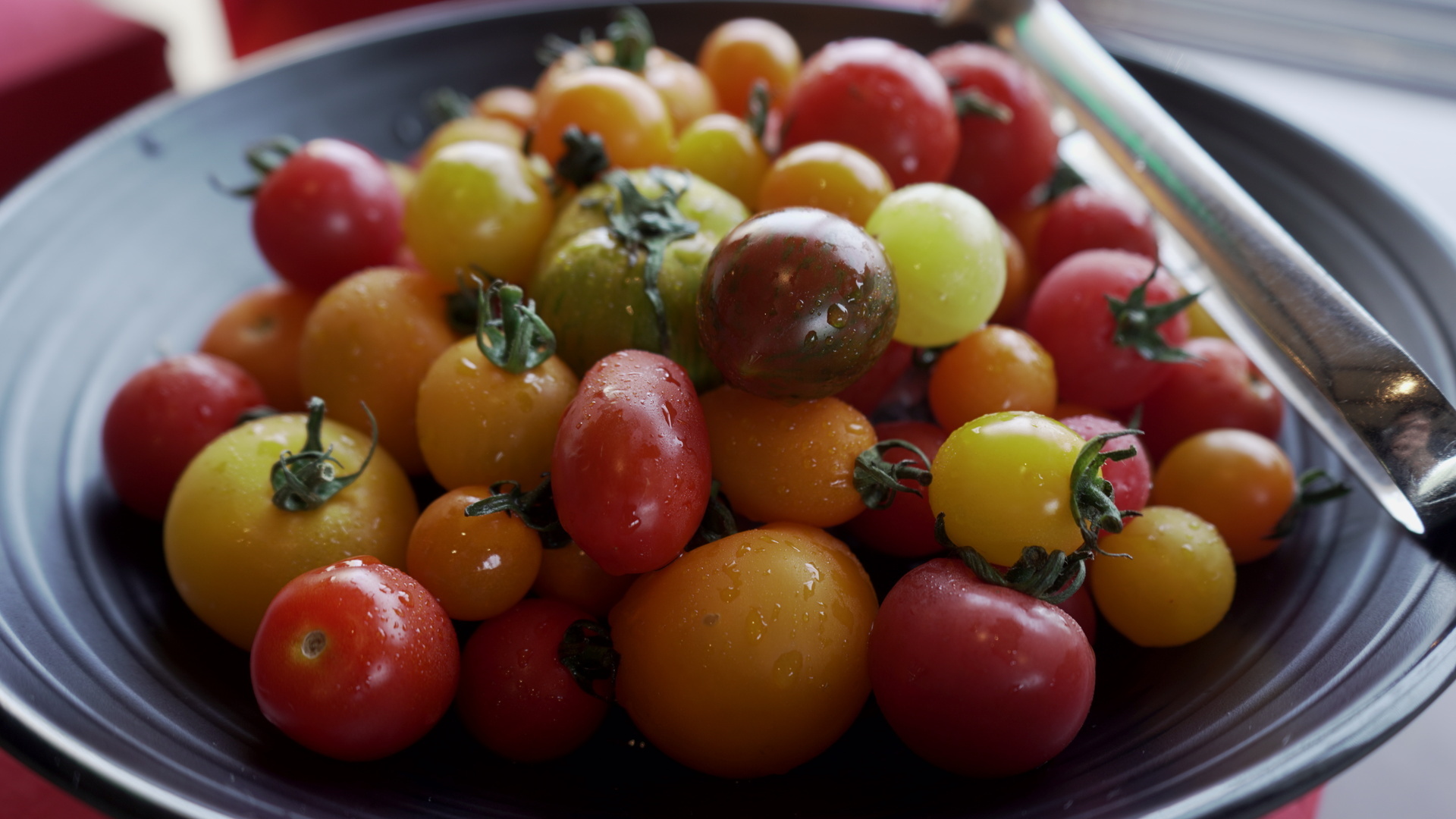 フロントページ - Felicita